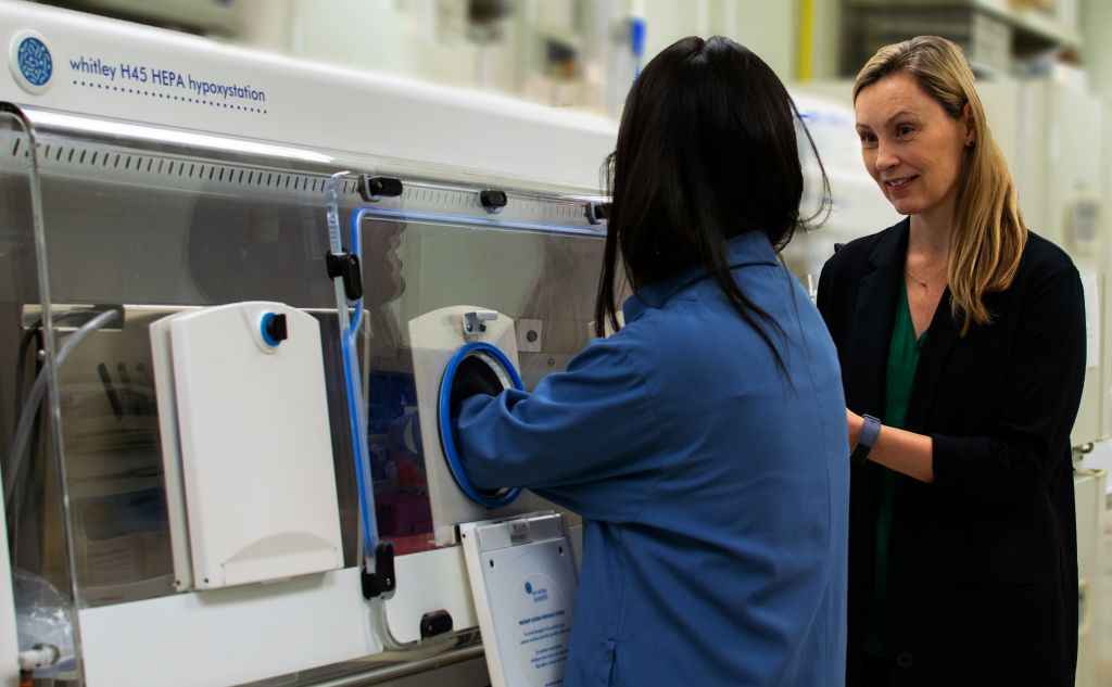 Looking Behind the Mirror with Dr. Marianne Koritzinsky – IMS Magazine