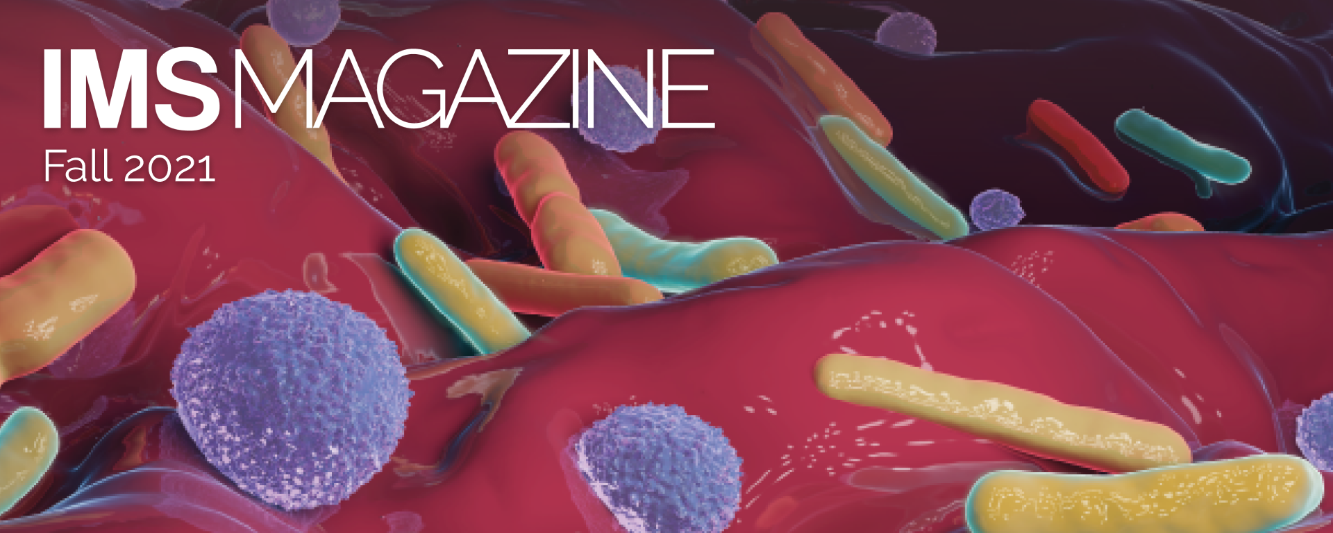 2021 Fall – IMS Magazine
