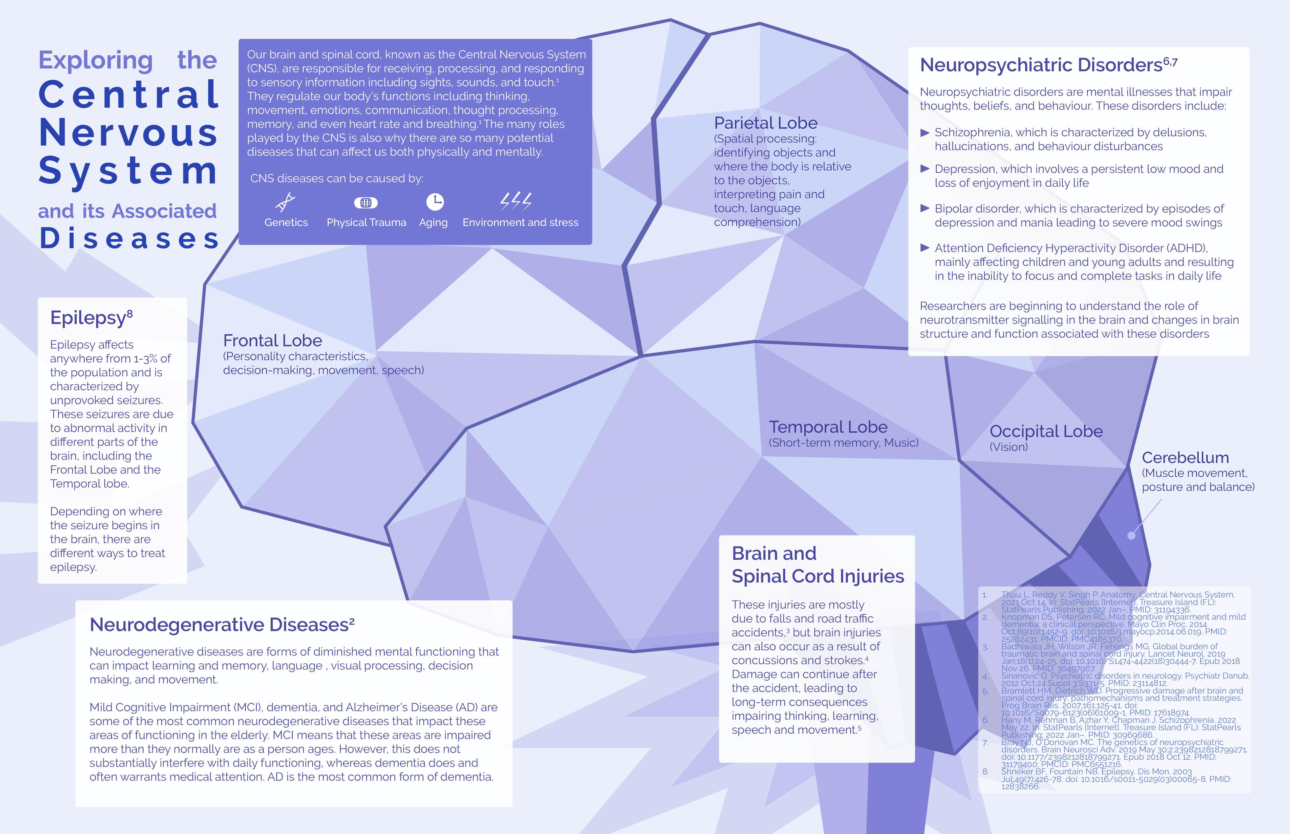 Infographic: Exploring the Central Nervous System and its Associated ...