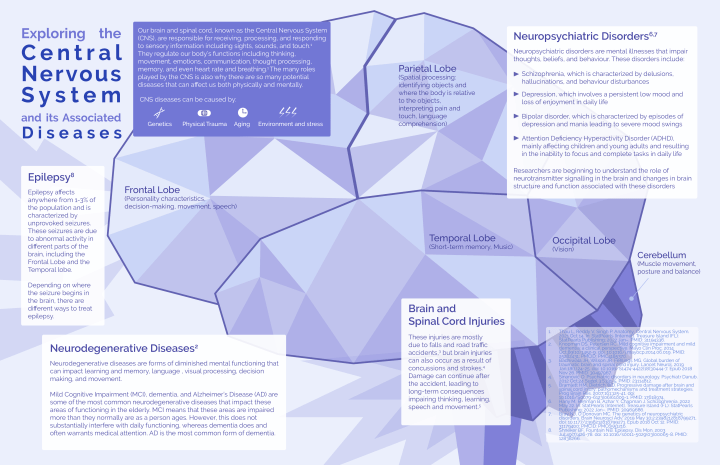 Infographic: Exploring the Central Nervous System and its Associated ...